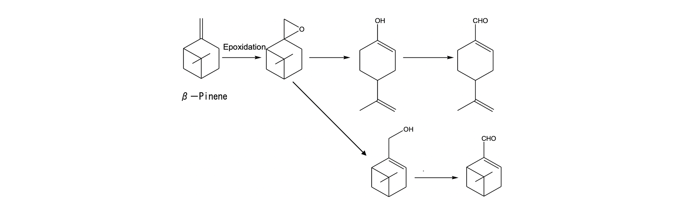 Research and Development | NIPPON TERPENE CHEMICALS, INC.